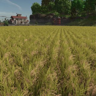 Harvesting, Planting & Sowing Rice in Farming Simulator 25