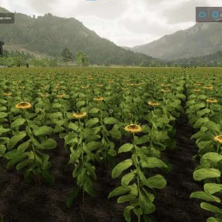 Bees Revamp v1.1 FS22 Mod | Farming Simulator 22 Mod