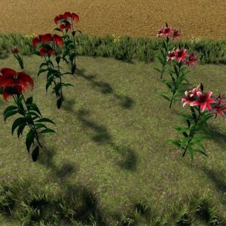 Flower Pack v1.0 FS22 Mod | Farming Simulator 22 Mod