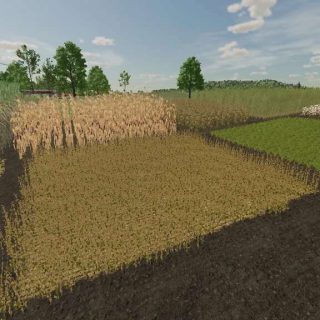 Planter And Vegetable Planter v1.0 FS22 Mod | Farming Simulator 22 Mod