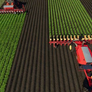 Planter And Vegetable Planter v1.0 FS22 Mod | Farming Simulator 22 Mod
