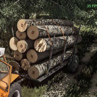 Romanian Wood Trailer v1.0 FS22 Mod | Farming Simulator 22 Mod