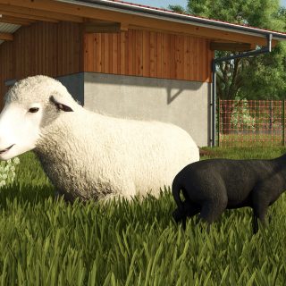 FS25: Everything You Need to Know About Animals