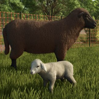 FS25: Everything You Need to Know About Animals