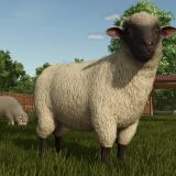 FS25: Everything You Need to Know About Animals