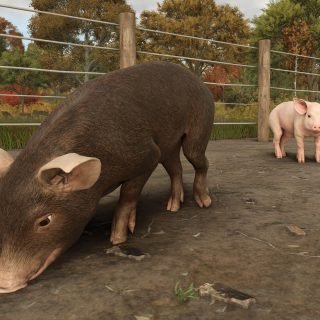 FS25: Everything You Need to Know About Animals