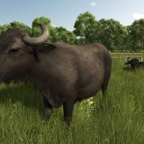 FS25: Everything You Need to Know About Animals