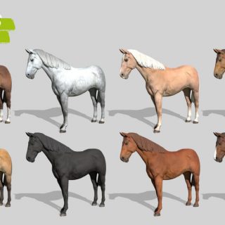 FS25: Everything You Need to Know About Animals