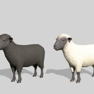 FS25: Everything You Need to Know About Animals