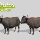 FS25: Everything You Need to Know About Animals