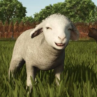 FS25: Everything You Need to Know About Animals