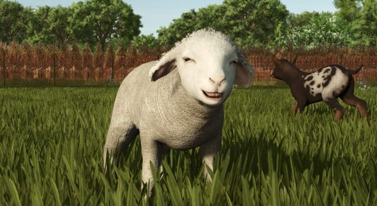 FS25: Everything You Need to Know About Animals