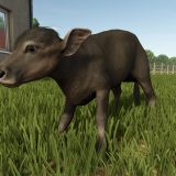 FS25: Everything You Need to Know About Animals
