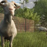 FS25: Everything You Need to Know About Animals