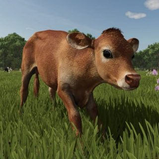 FS25: Everything You Need to Know About Animals