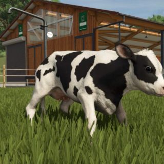 FS25: Everything You Need to Know About Animals