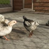 FS25: Everything You Need to Know About Animals