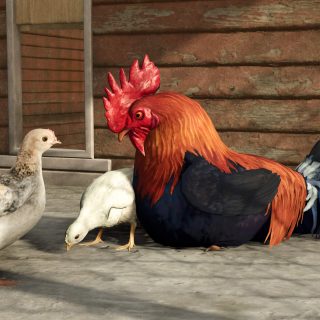 FS25: Everything You Need to Know About Animals