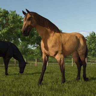 FS25: Everything You Need to Know About Animals