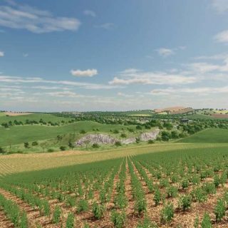 Canarinho Farm v1.0 FS22 Mod | Farming Simulator 22 Mod