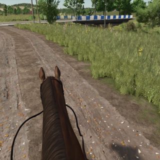 First Person Horse Riding Camera v1.0.0.0 FS25 Mod | Farming Simulator ...