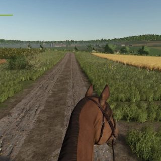 First Person Horse Riding Camera v1.0.0.0 FS25 Mod | Farming Simulator ...