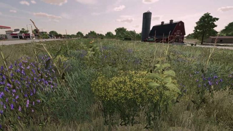 New Oil Radish v1.0 FS22 Mod | Farming Simulator 22 Mod