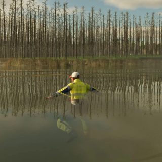 No Tree Limit v1.0.0.0 FS25 Mod | Farming Simulator 22 Mod