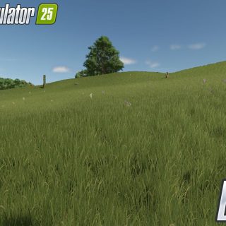 Stump Removal US v1.0.0.1 FS25 Mod | Farming Simulator 22 Mod