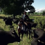 The Ranch, Colorado v1.0.0.1 FS22 Mod | Farming Simulator 22 Mod