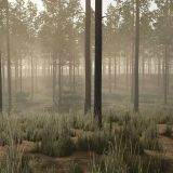 Pinewood Forest v1.0.0.0 FS25 Mod | Farming Simulator 22 Mod