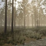 Pinewood Forest v1.0.0.0 FS25 Mod | Farming Simulator 22 Mod