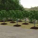 Fruit Tree Plantation V1.1.0.0 FS25 Mod | Farming Simulator 22 Mod