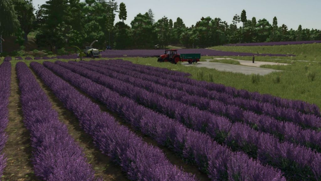 Lavender in Rows (Prefab) V1.0.0.0 FS25 Mod | Farming Simulator 22 Mod