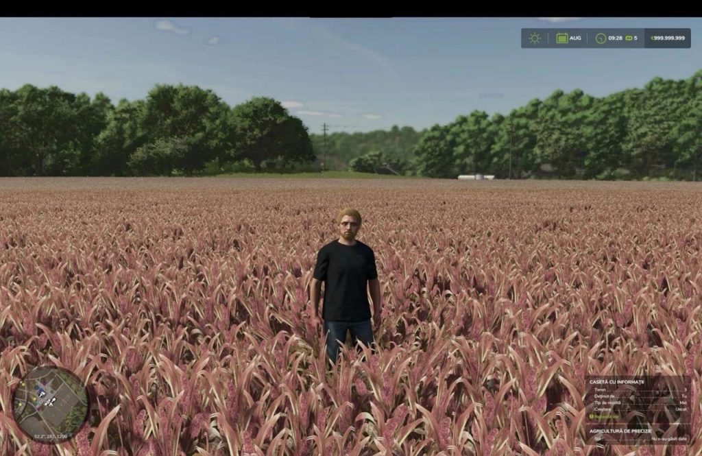 Millet (prefab) v1.0.0.0 FS25 Mod | Farming Simulator 22 Mod