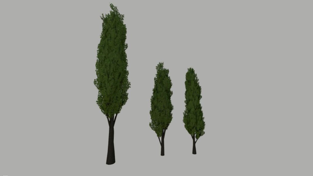 Poplar Trees Pack Prefab V1.0.0.0 FS25 Mod | Farming Simulator 22 Mod