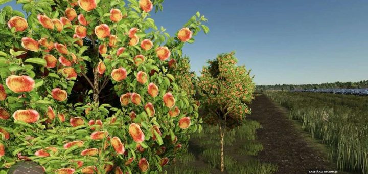 Farming Simulator 25 Map Mods - FS25 Maps Download