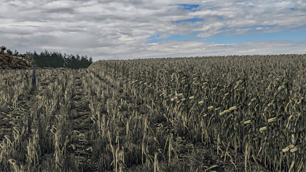 Corn Texture New Gen 2 V1.0.0.0 FS25 Mod | Farming Simulator 22 Mod