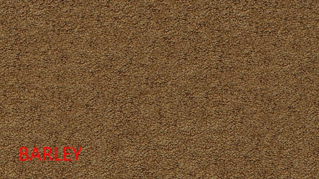 FillPlane textures pack v1.0.0.0 FS25 Mod | Farming Simulator 22 Mod